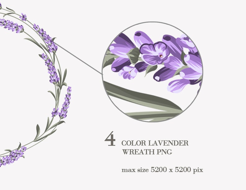 Lavender Wreath Flower Frame Png. Digital Lavender Herb. - Etsy