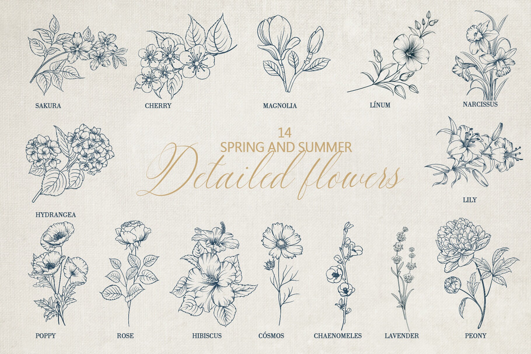Bloom. Pattern and Motifs. 28 PNG and Eps Files. Floral Line - Etsy