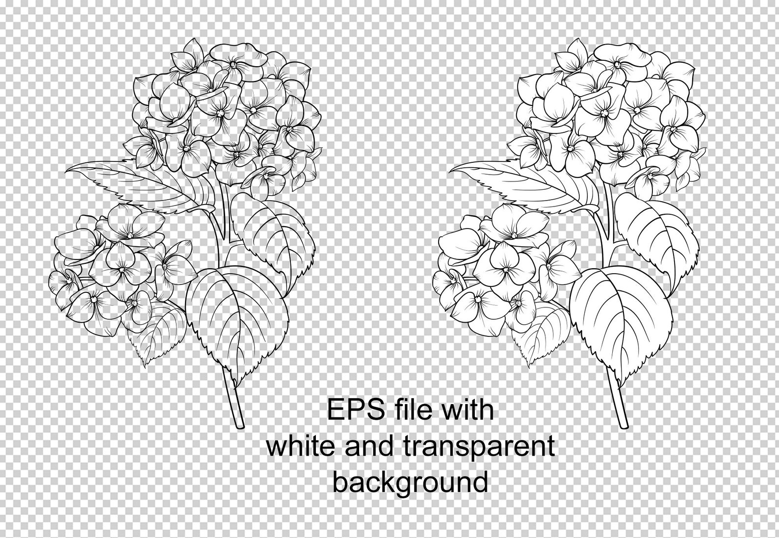 Hydrangea Svg PNG Hydrangea Plant Floral Svg Black and - Etsy