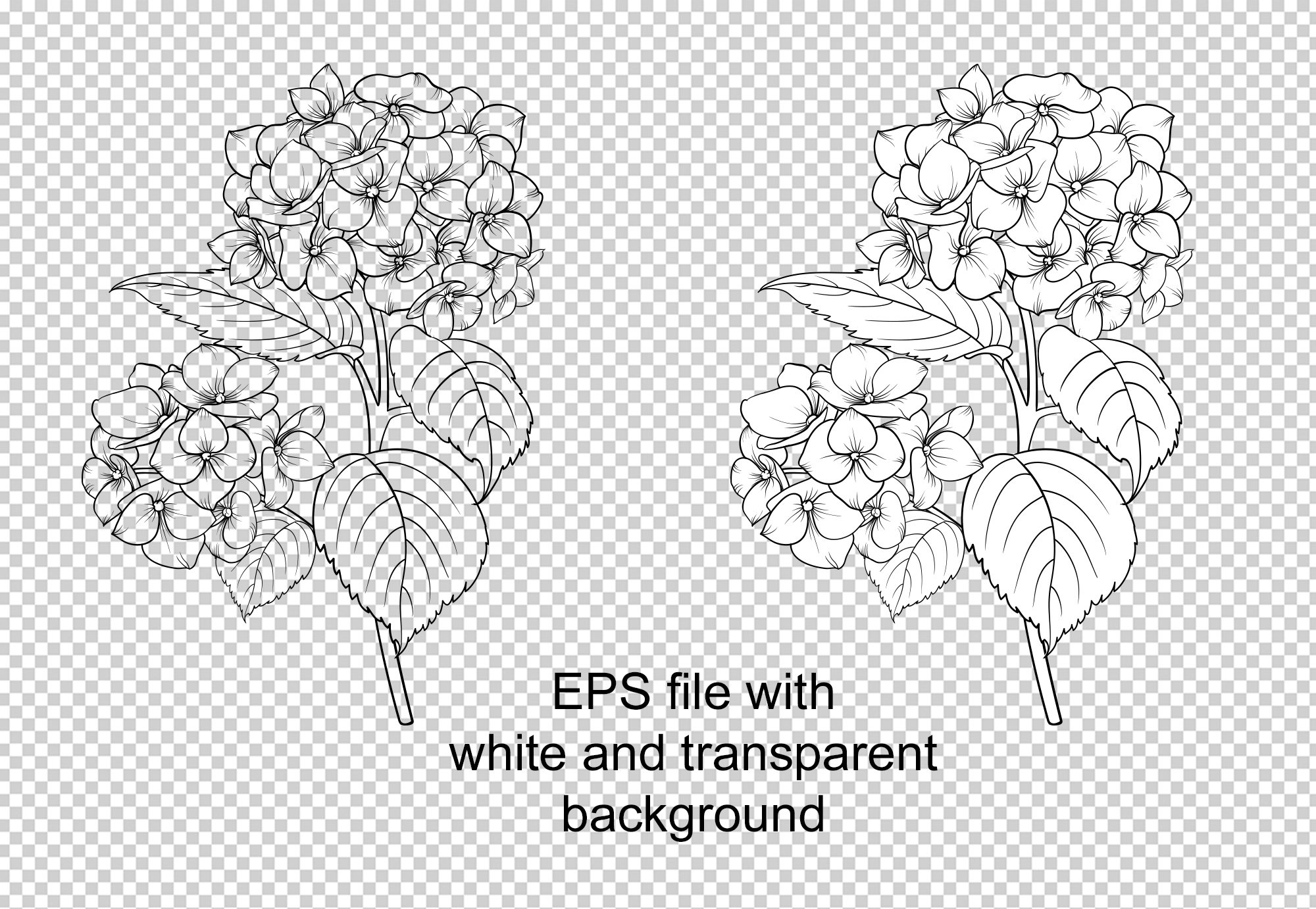 Hydrangea Svg PNG Hydrangea Plant Floral Svg Black and | Etsy