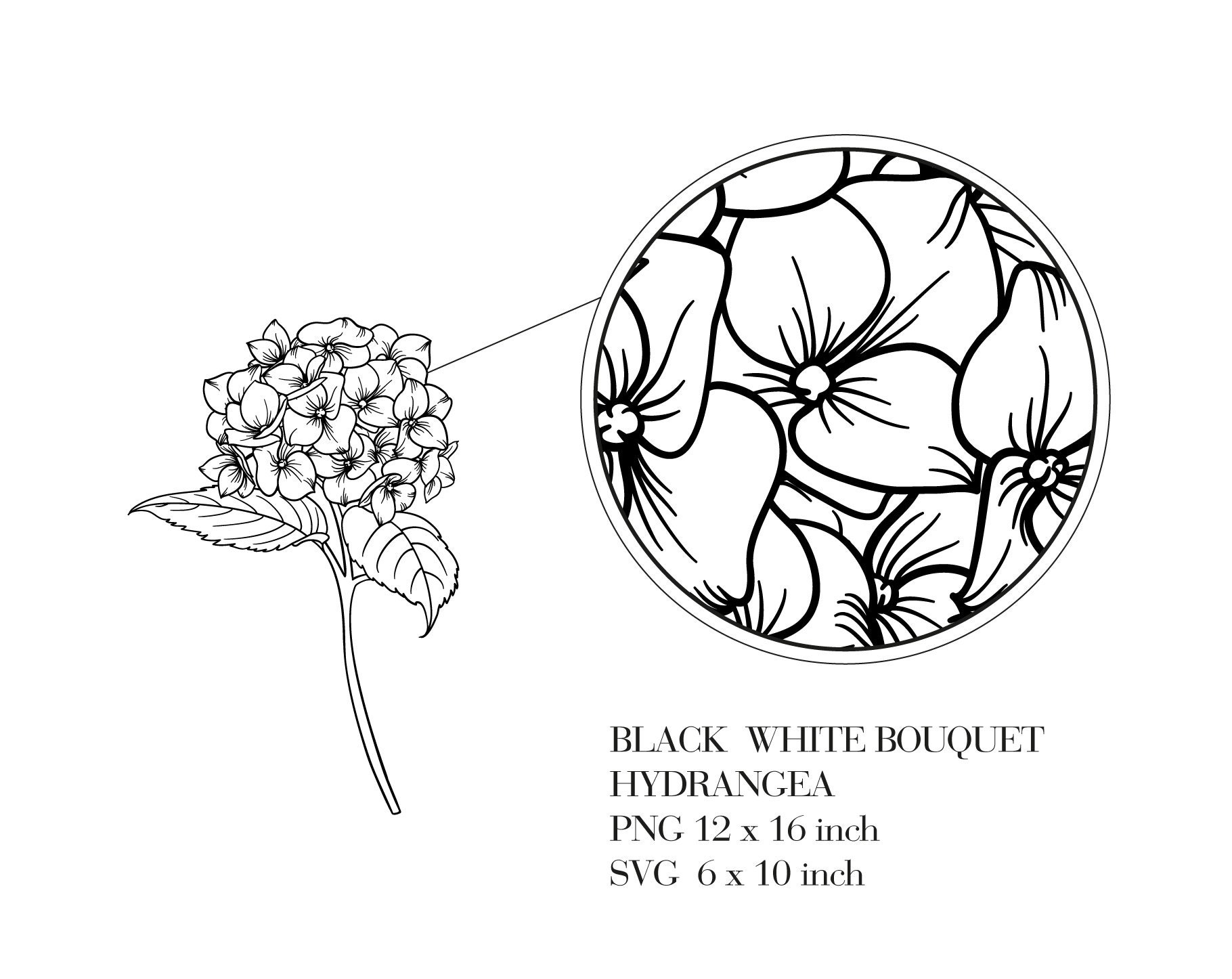 Hydrangea SVG Hydrangea Flower SVG Flower Cut Files Flower | Etsy UK