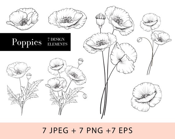 Poppy Flower Fine Line Design Elements Botanical Clipart 7 | Etsy