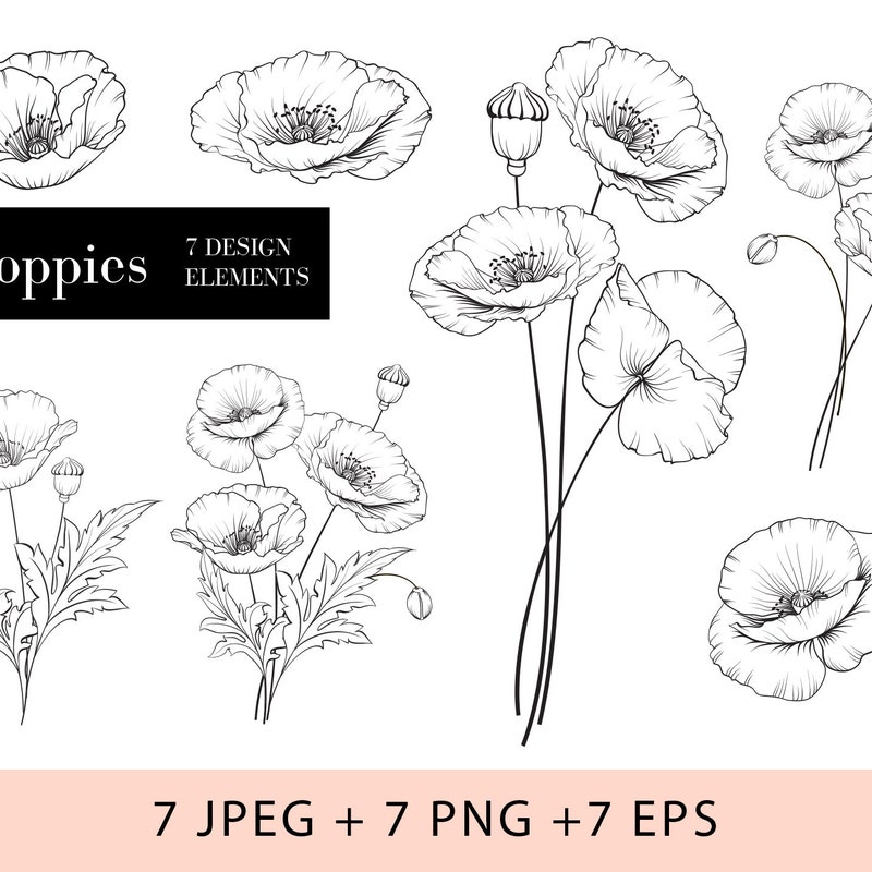Poppy Line Art - Etsy