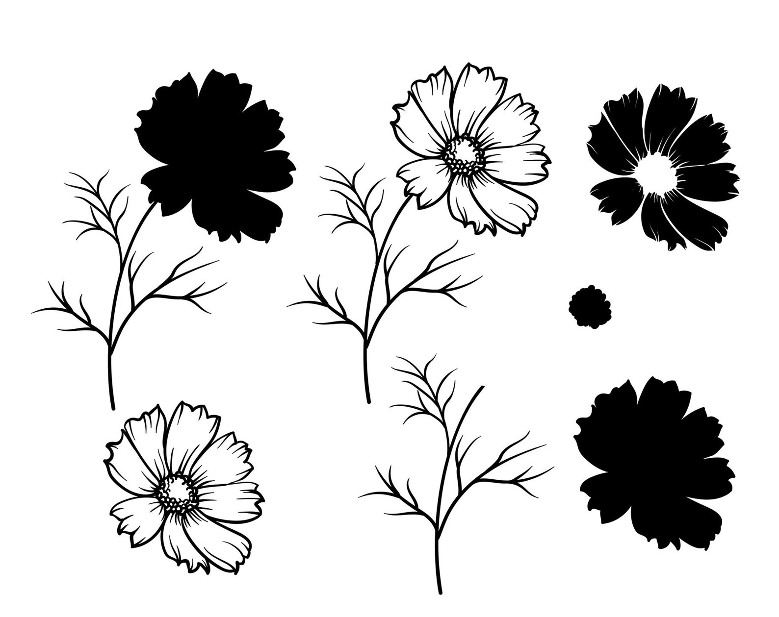 Cosmos Spring Flower Svg. Flower Outline SVG Files for Cricut ...