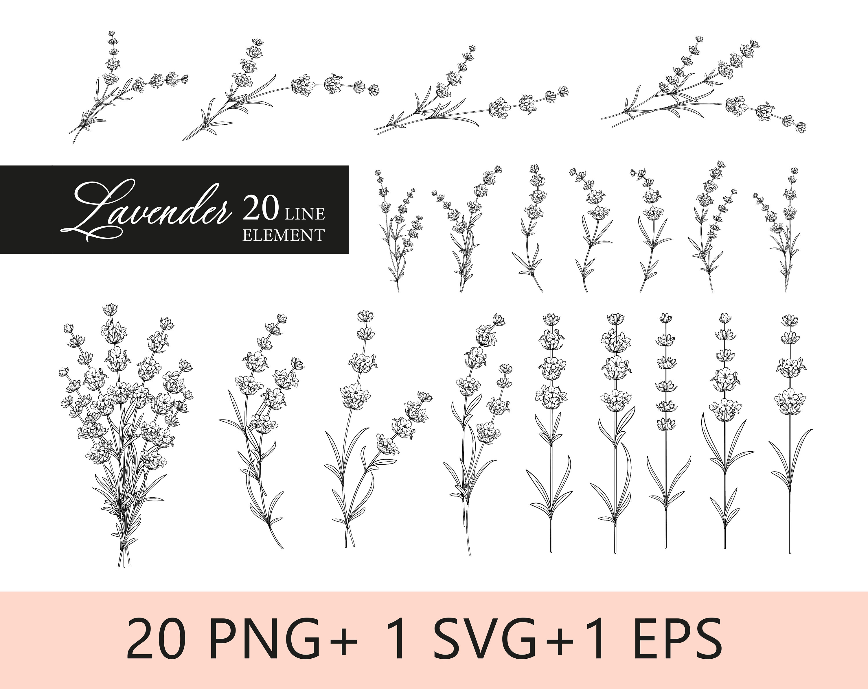 Lavender Flower SVG Flower Svg Files Lavender Commercial - Etsy Canada