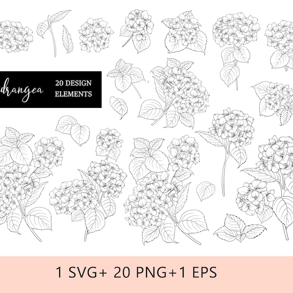 White Hydrangea Svg - Etsy