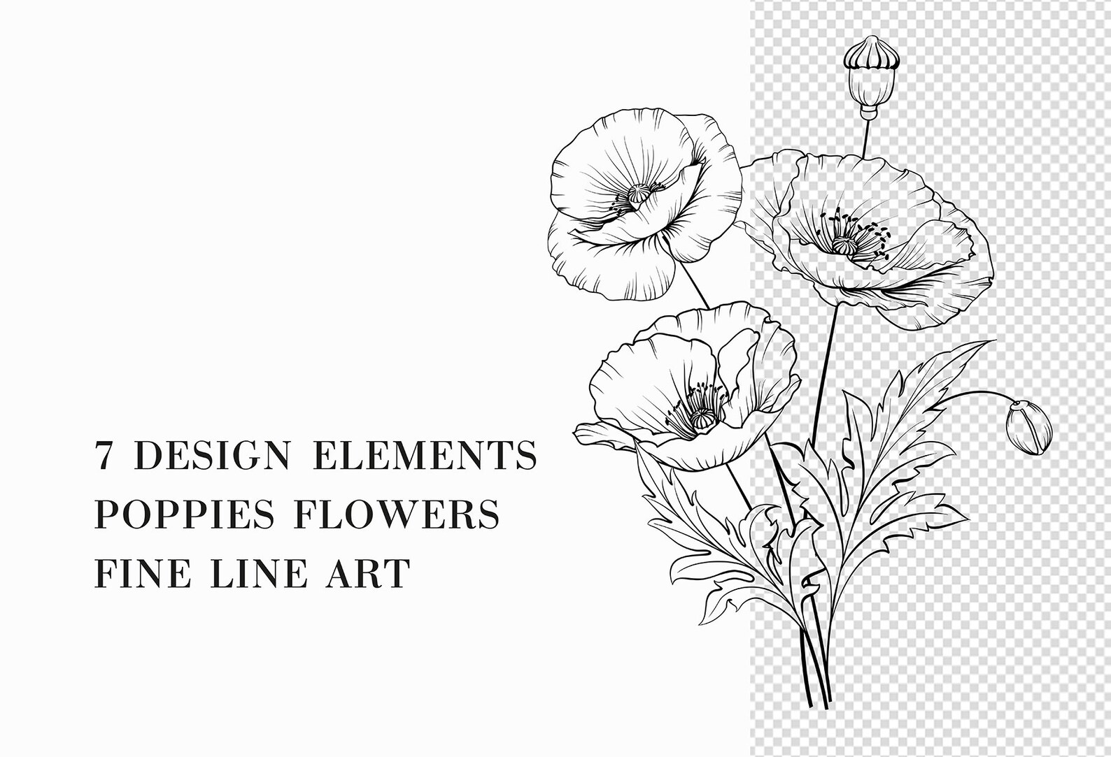 Poppy Flower Fine Line Design Elements Botanical Clipart 7 Floral Line ...