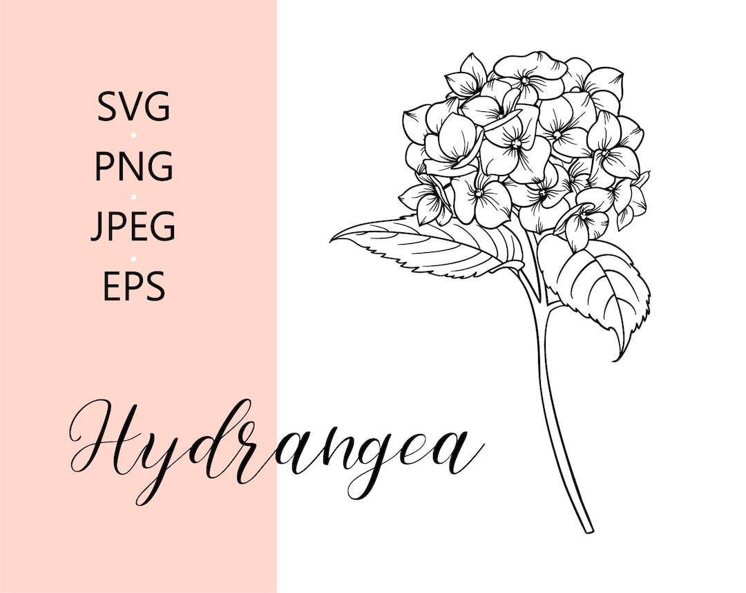 Hydrangea SVG| Hydrangea Flower SVG| Flower Cut Files| Flower Clipart ...