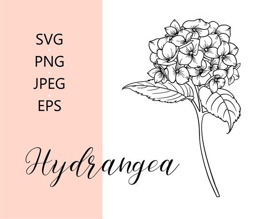 Hydrangea Svg Hydrangea Flower Svg Flower Cut Files Flower Etsy