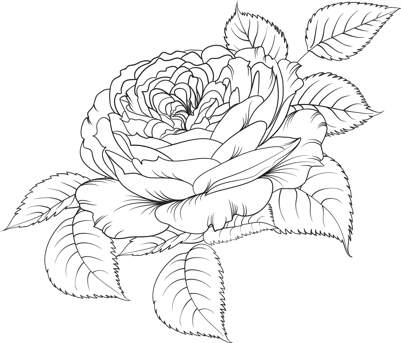 Fine Line Design Elements Clipart Black Rose Flower Line Art - Etsy