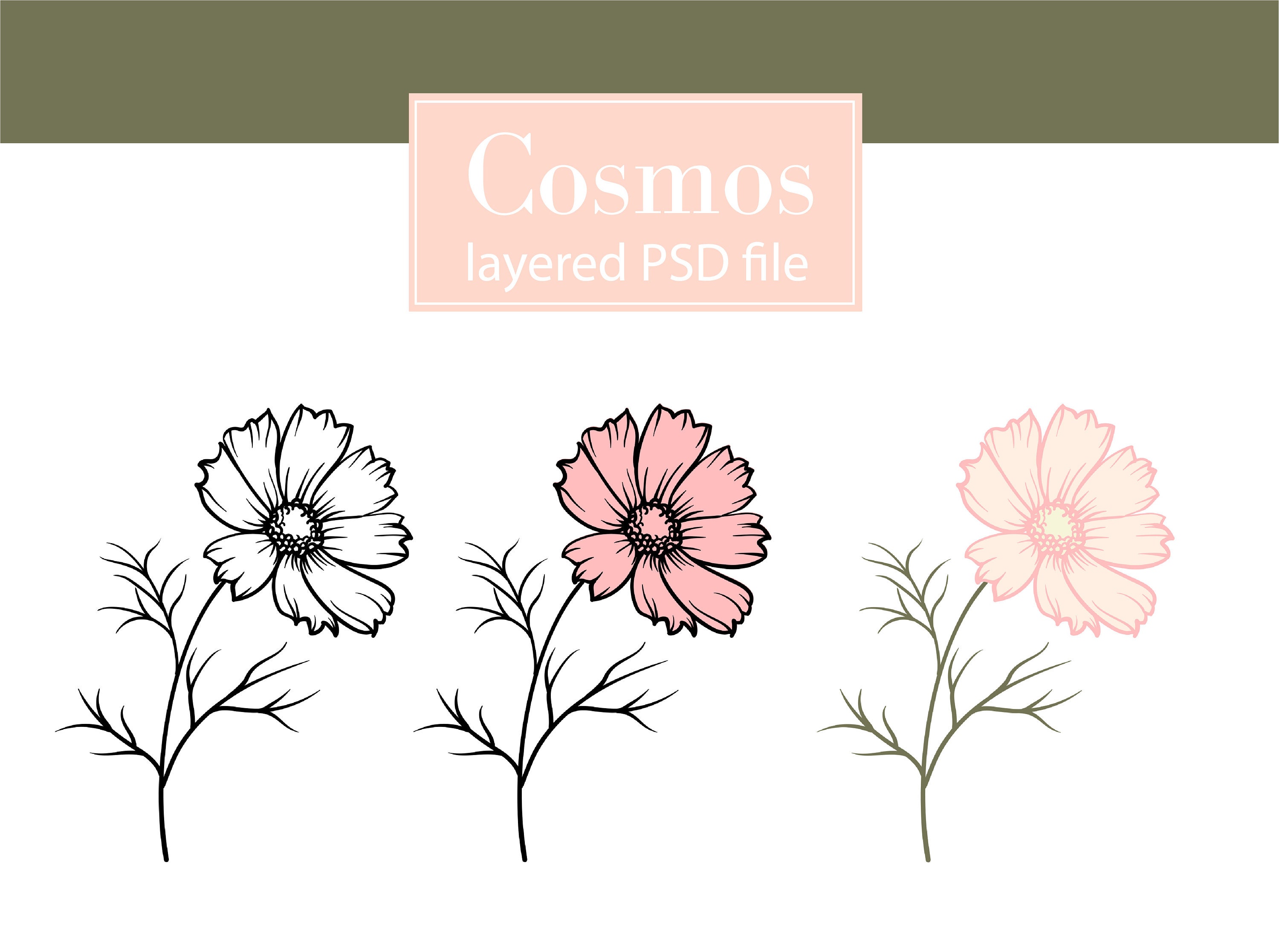 Cosmos Spring flower svg. Flower Outline SVG Files for Cricut | Etsy