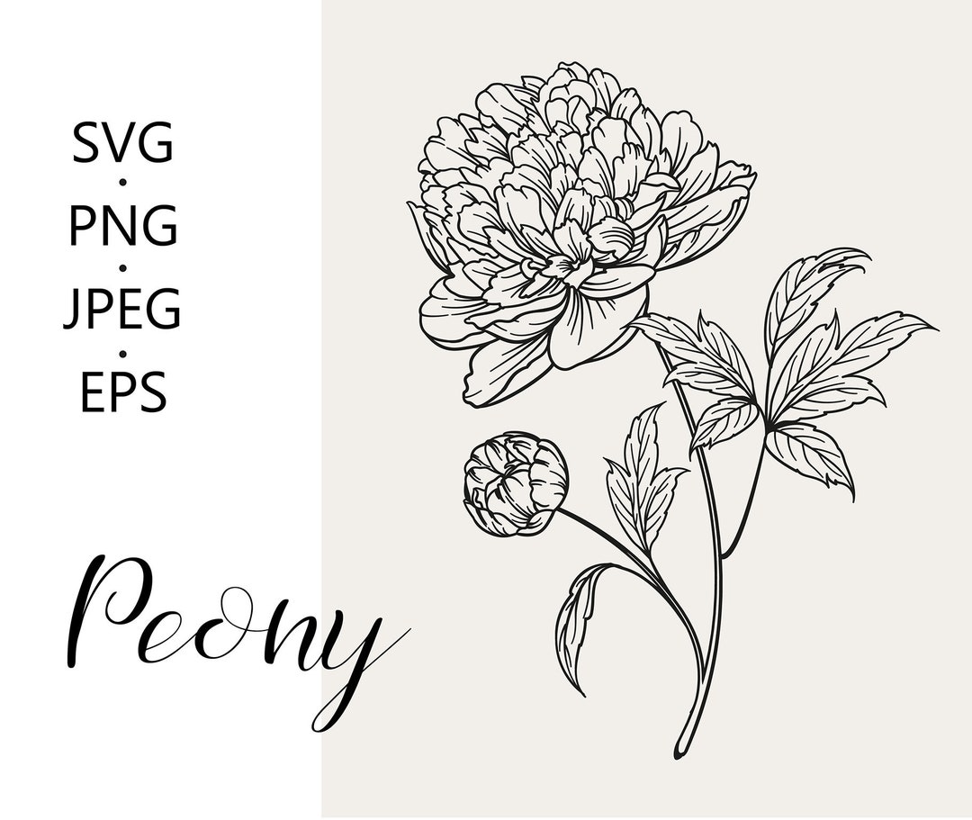 Peony SVG| Peonies Flower SVG| Flower Cut Files| Flower Clipart| Peony ...