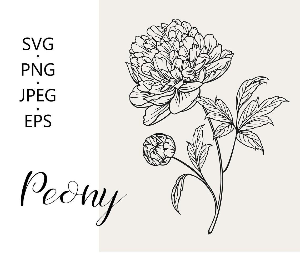Peony SVG| Peonies Flower SVG| Flower Cut Files| Flower Clipart| Peony ...
