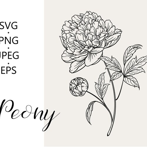 Peony SVG Peonies Flower SVG Flower Cut Files Flower - Etsy