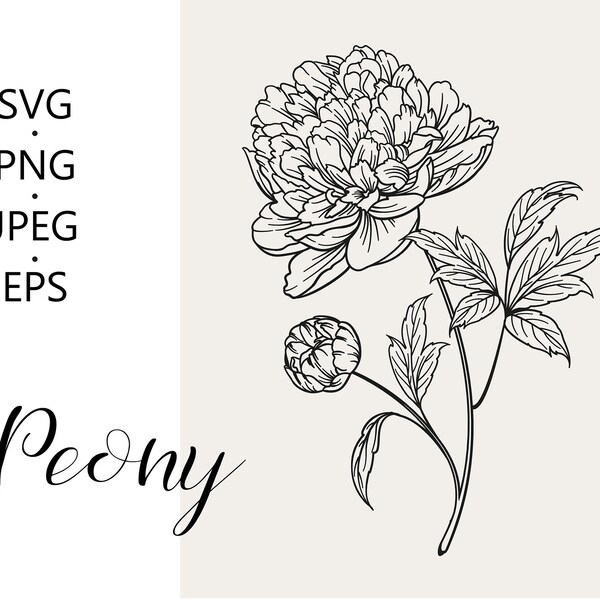 Peony Svg - Etsy