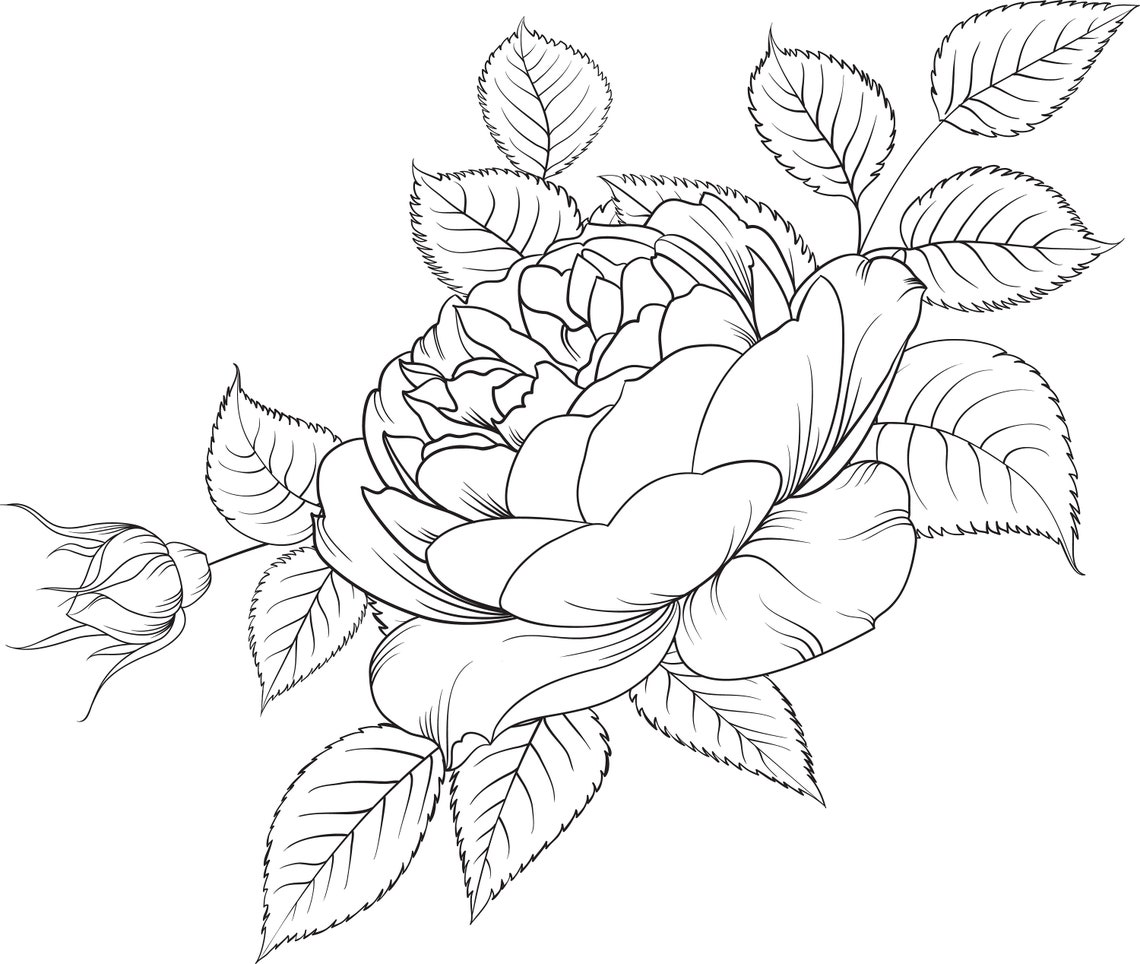 Fine Line Design Elements Clipart Black Rose Flower Line Art - Etsy