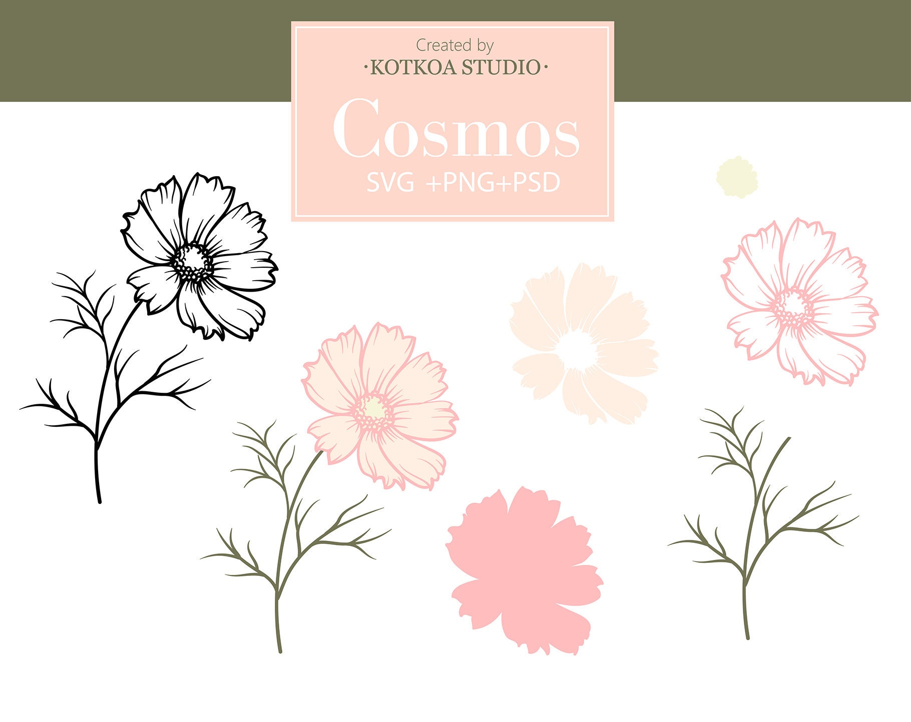 Cosmos Spring Flower Svg. Flower Outline SVG Files for Cricut ...