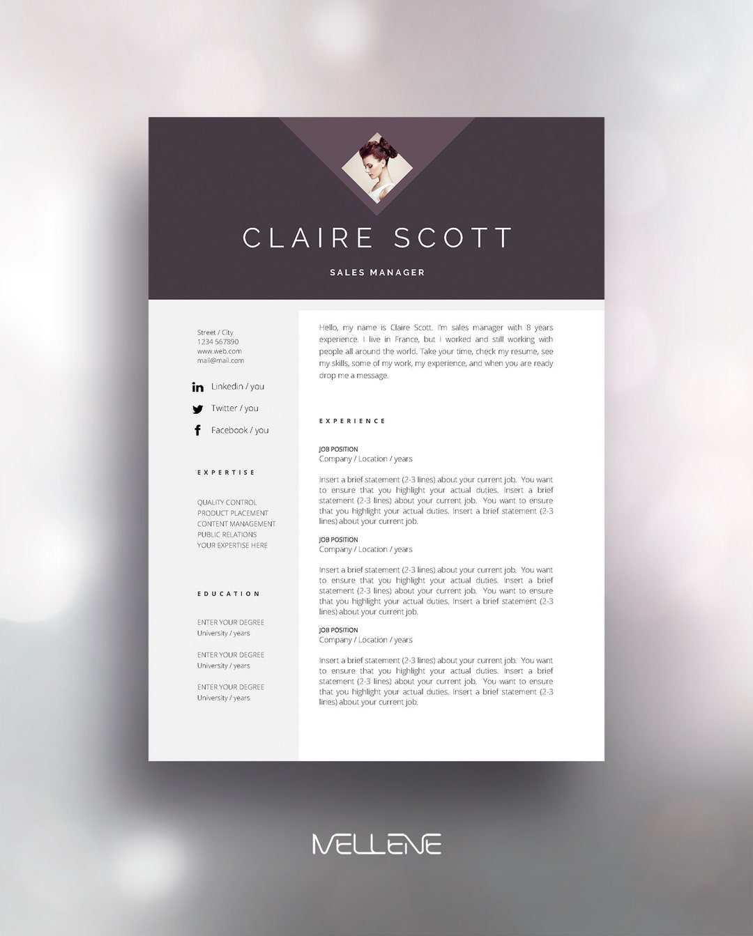 Resume Template 3 Page / CV Template + Cover Letter / Instant Download ...