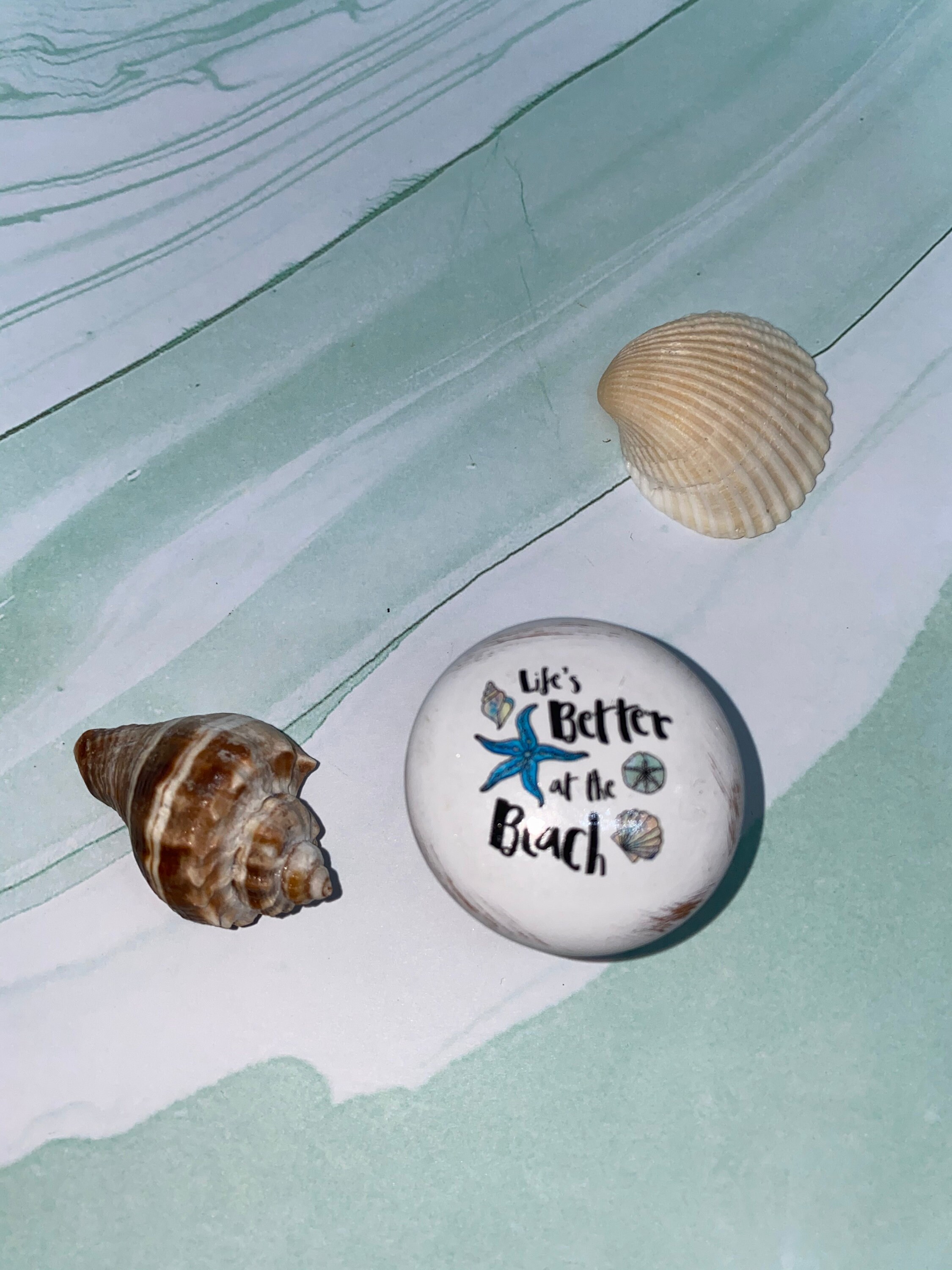 Coastal Knobs, Dresser,cabinet Knob,bedroom Decor, Kitchen Cabinet ...