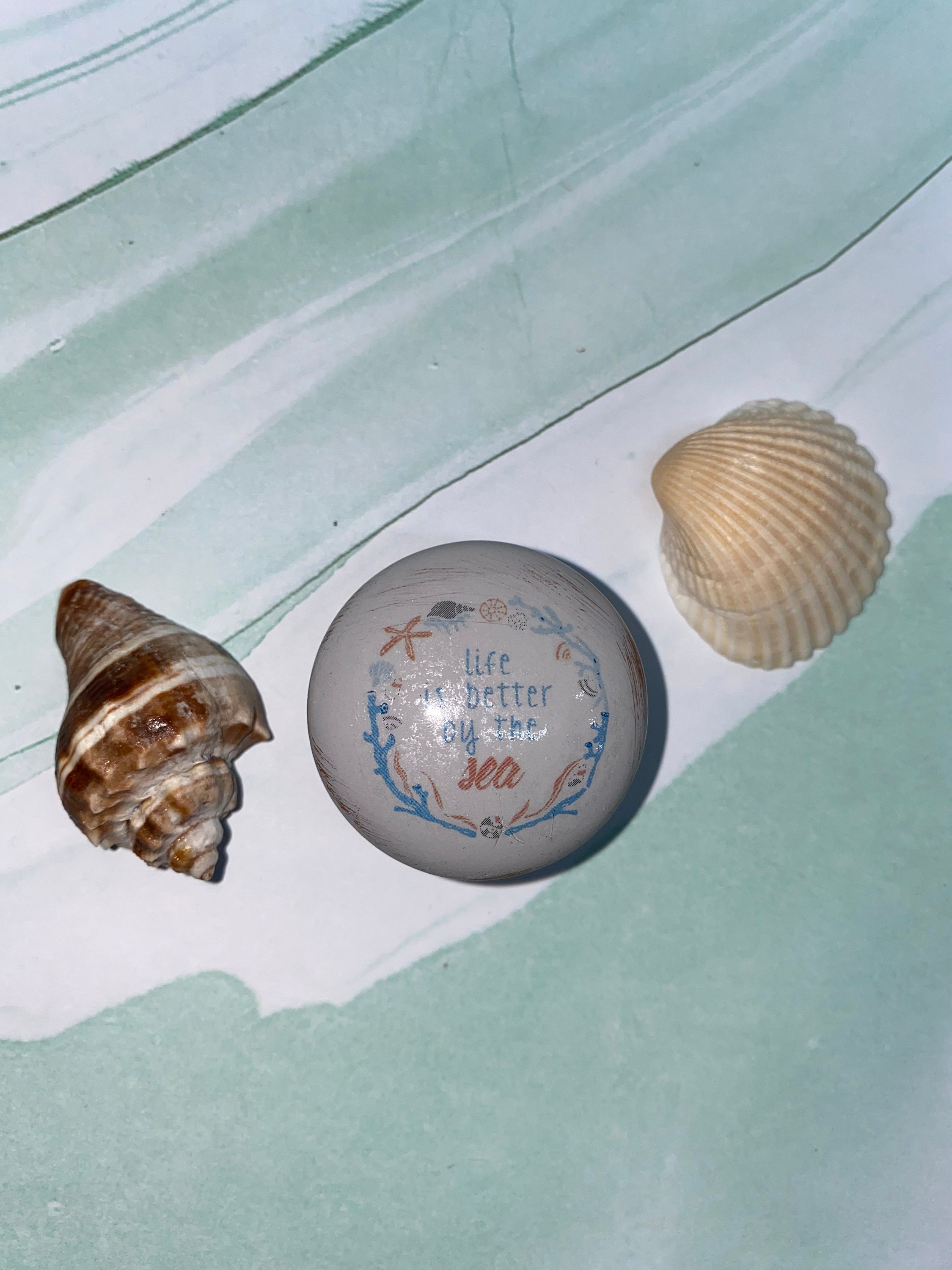 Coastal Knobs, Dresser,cabinet Knob,bedroom Decor, Kitchen Cabinet ...