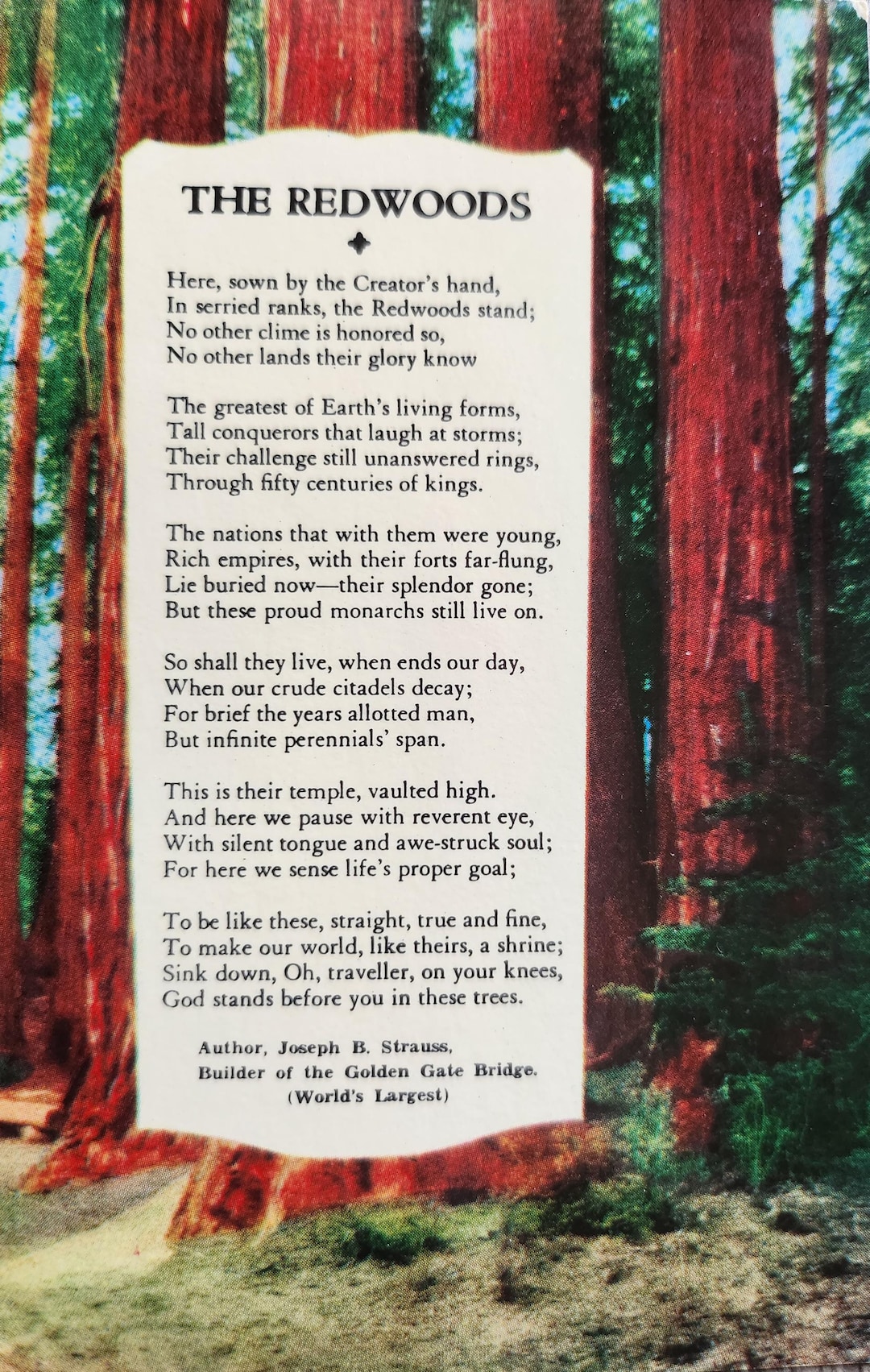 The Redwoods Poem by Joseph Strauss Builder of the Golden Gate Bridge ...