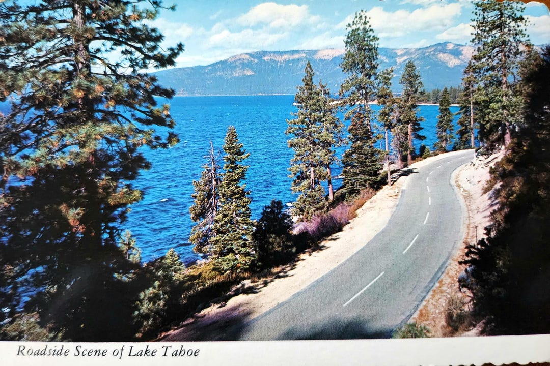 Roadside Scene Lake Tahoe Sierra Mountains Real Photo Postcard Unused ...