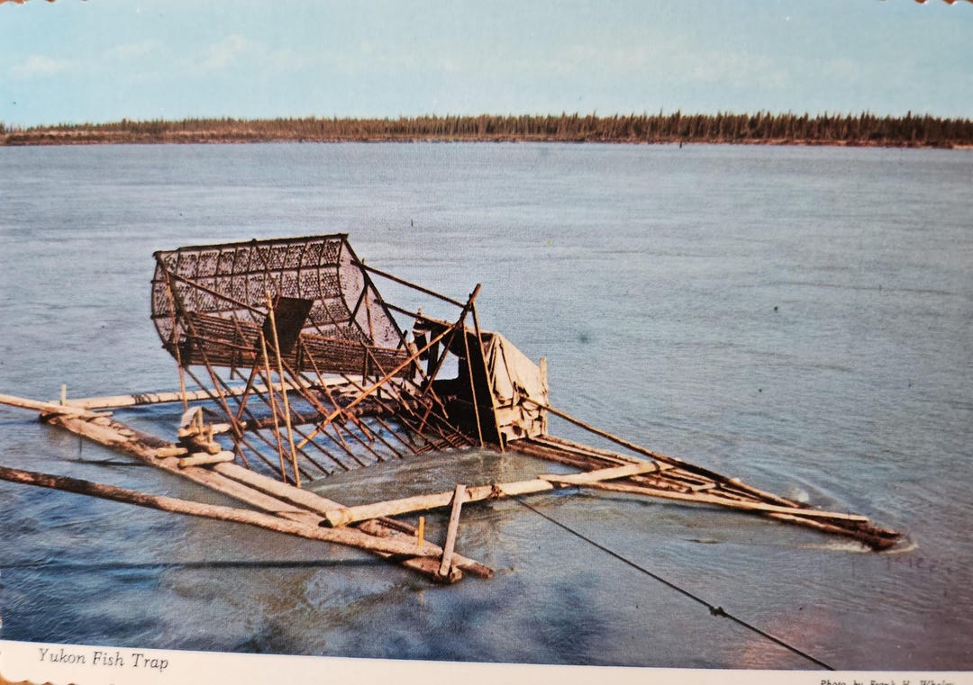 Alaska Yukon Fish Trap Real Photo Postcard Unused - Etsy