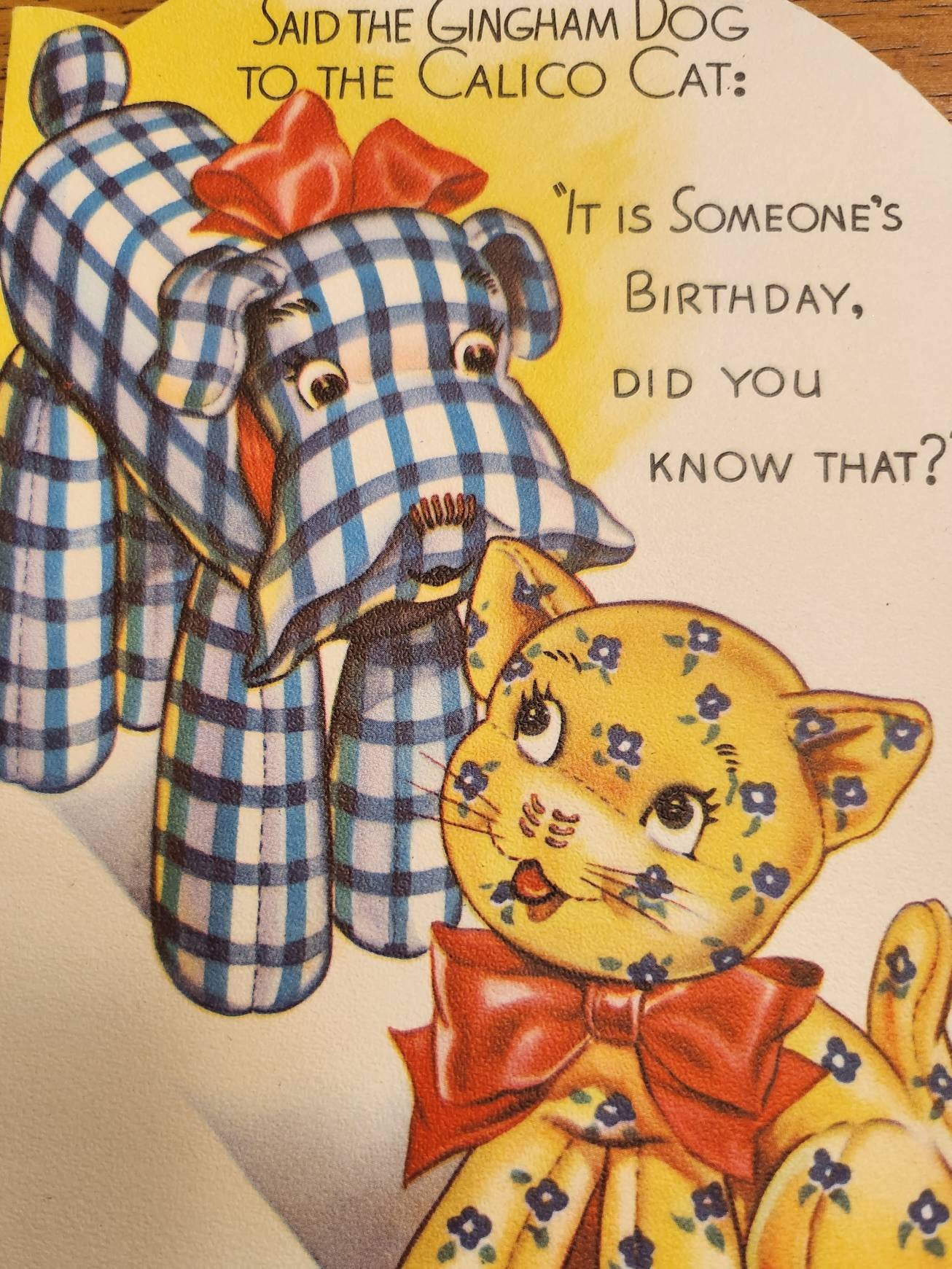 Gingham Dog Calico Cat Pattern