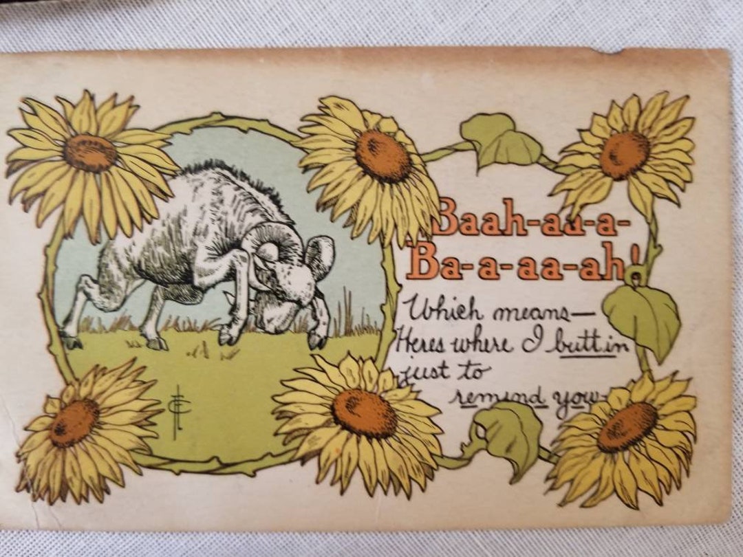 Illustrated Vintage Ram Comic Postcard Used No Postmark Sun Flowers - Etsy