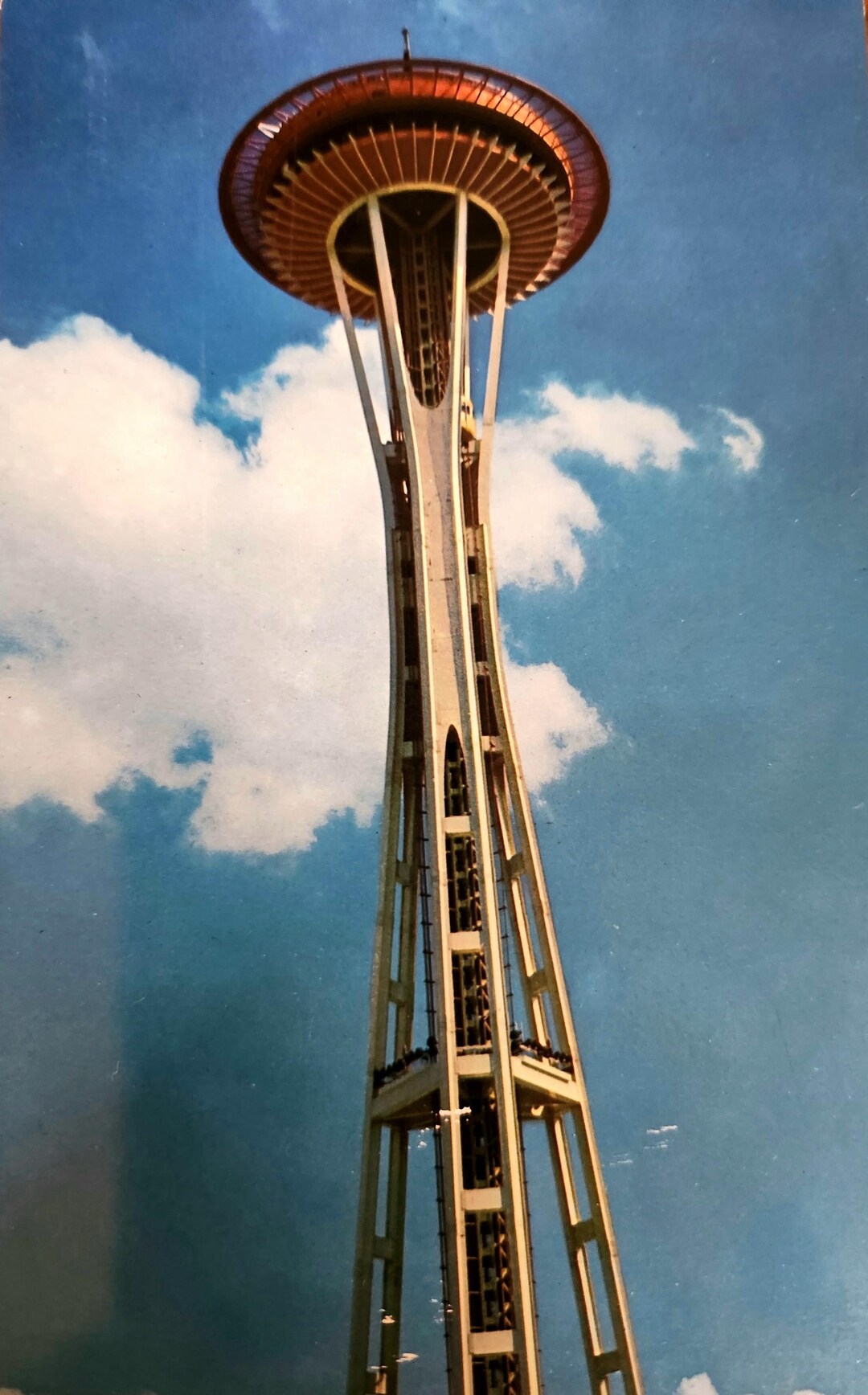 Sattle Worlds Fair Space Needle Real Photo Postcard Unused - Etsy