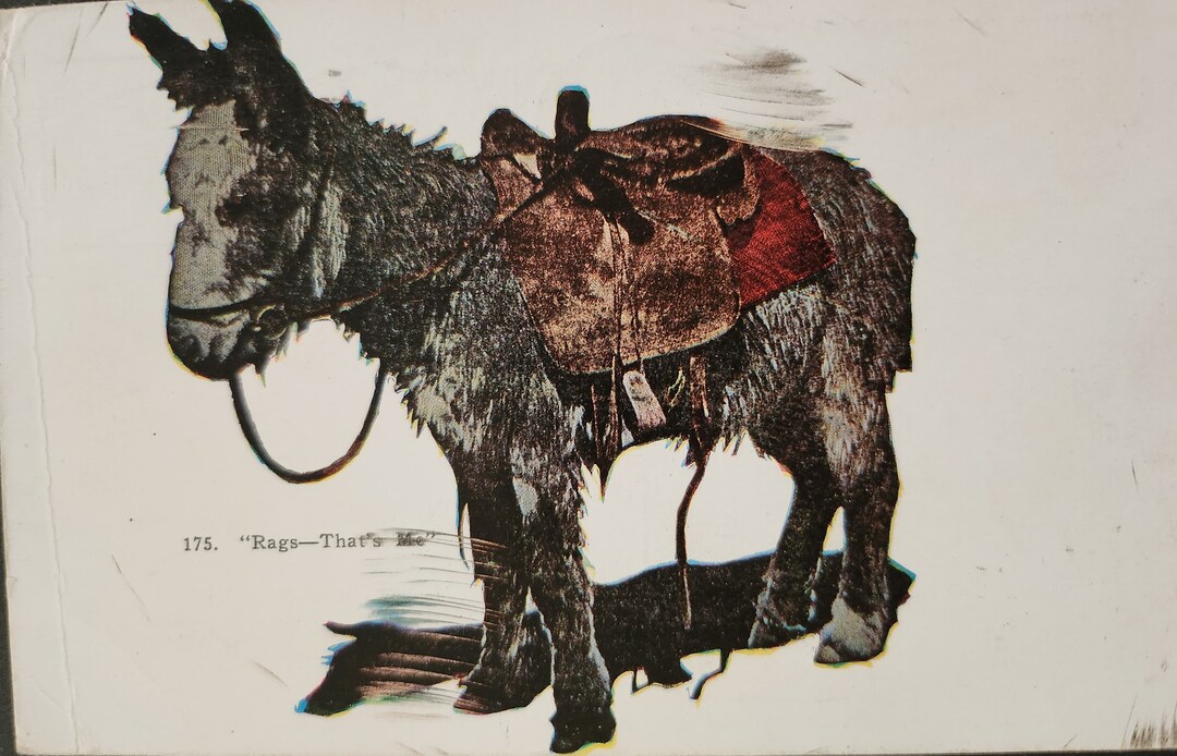 Donkey Used Illustrated Postcard 1933 Postmark Used - Etsy