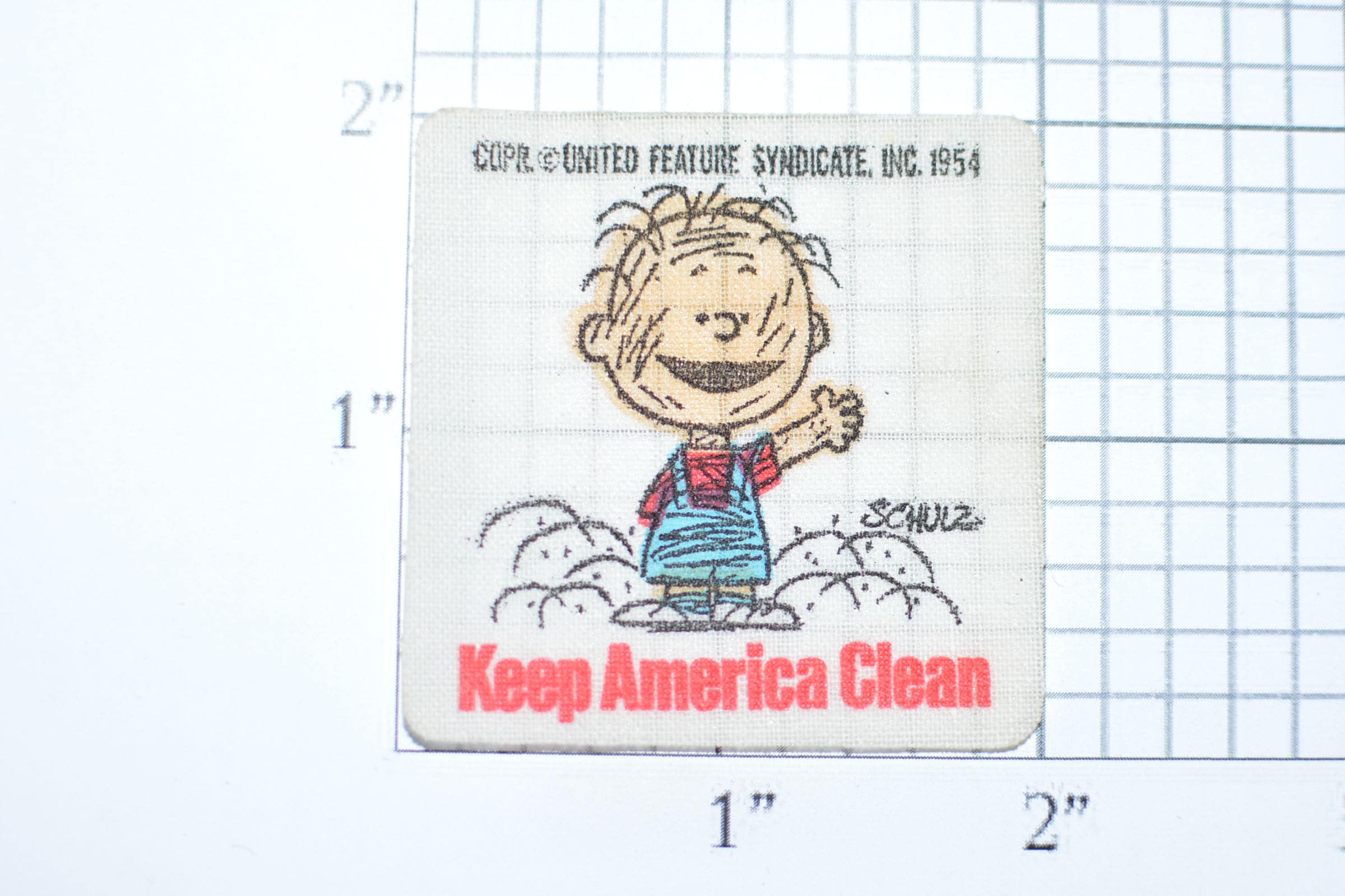 Pigpen Peanuts Clean