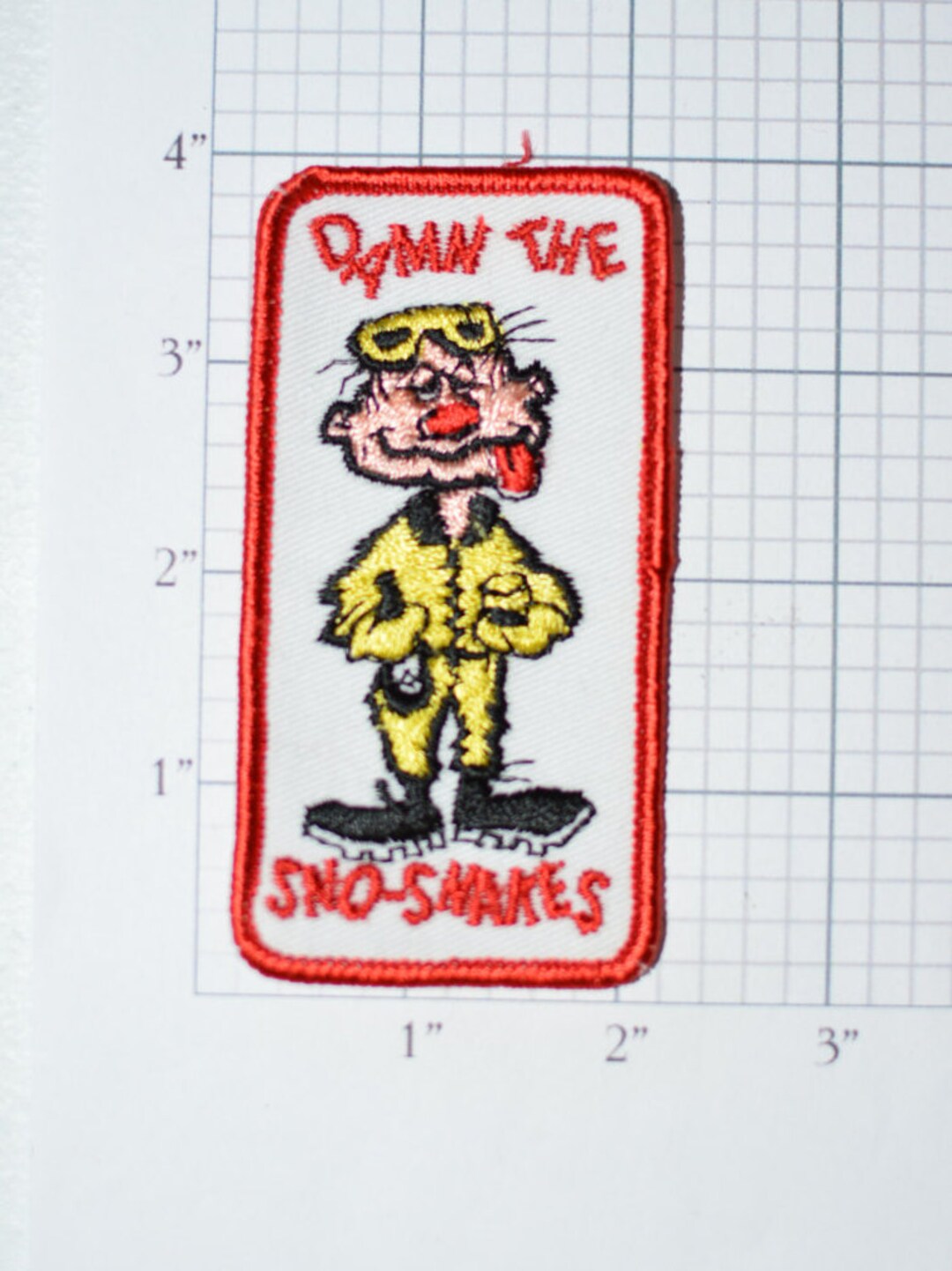 Damn the Sno-snakes Sew-on Vintage Patch Funny Icebreaker Skiing ...