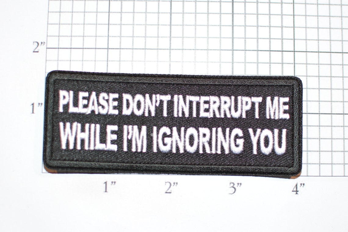Please Don't Interrupt Me While I'm Ignoring You Iron-on Embroidered ...