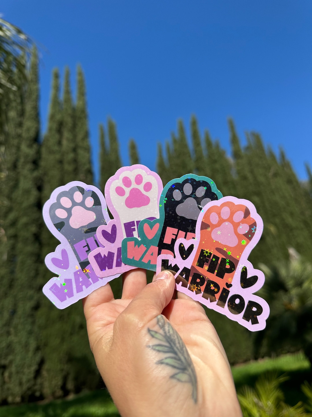 FIP Cat Sticker/ FIP Cat / FIP Sticker / Fip Warrior /laptop Sticker ...