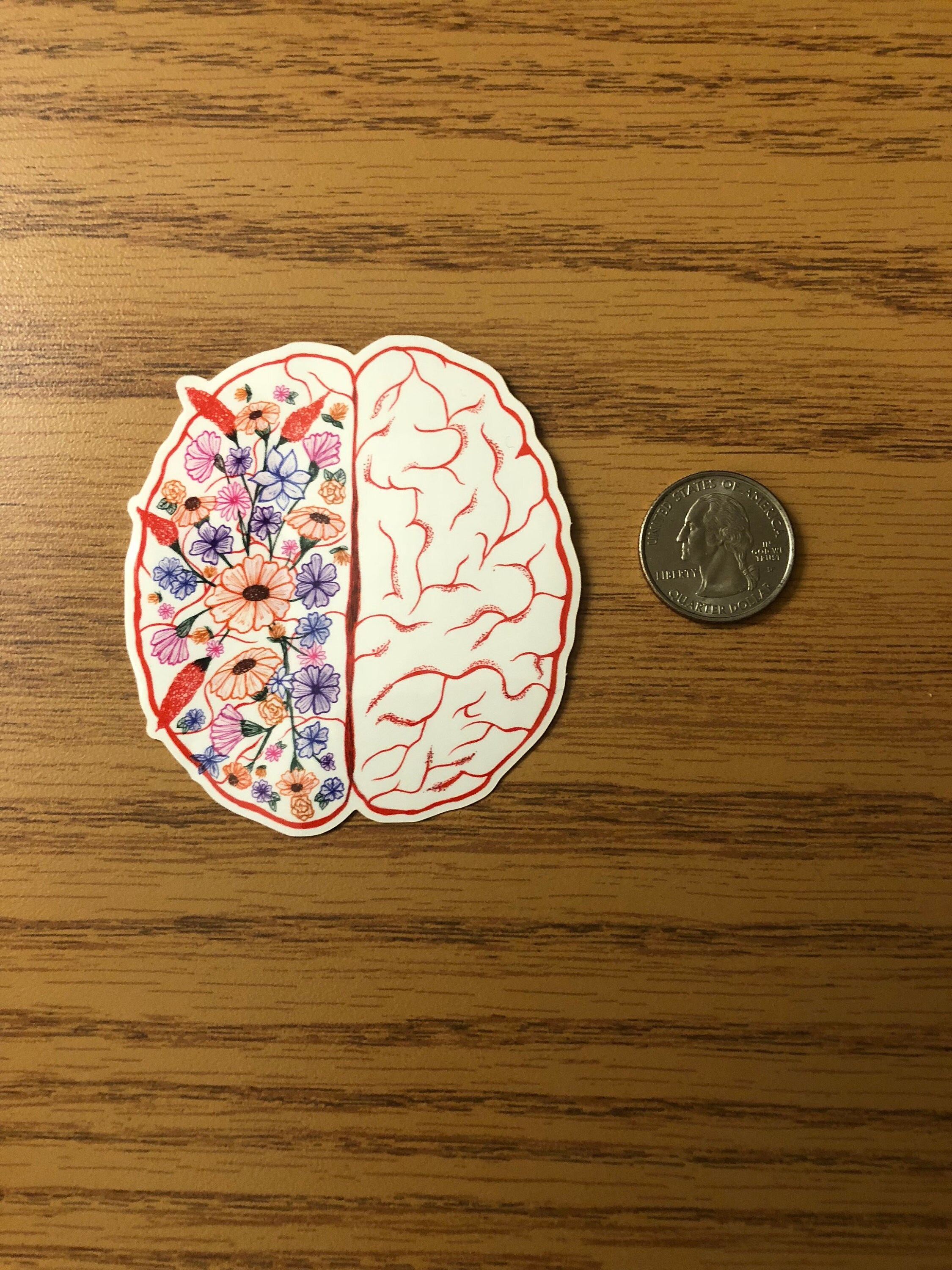 Floral Anatomy Brain Neurology Medical Sticker Decal Neurologist ...