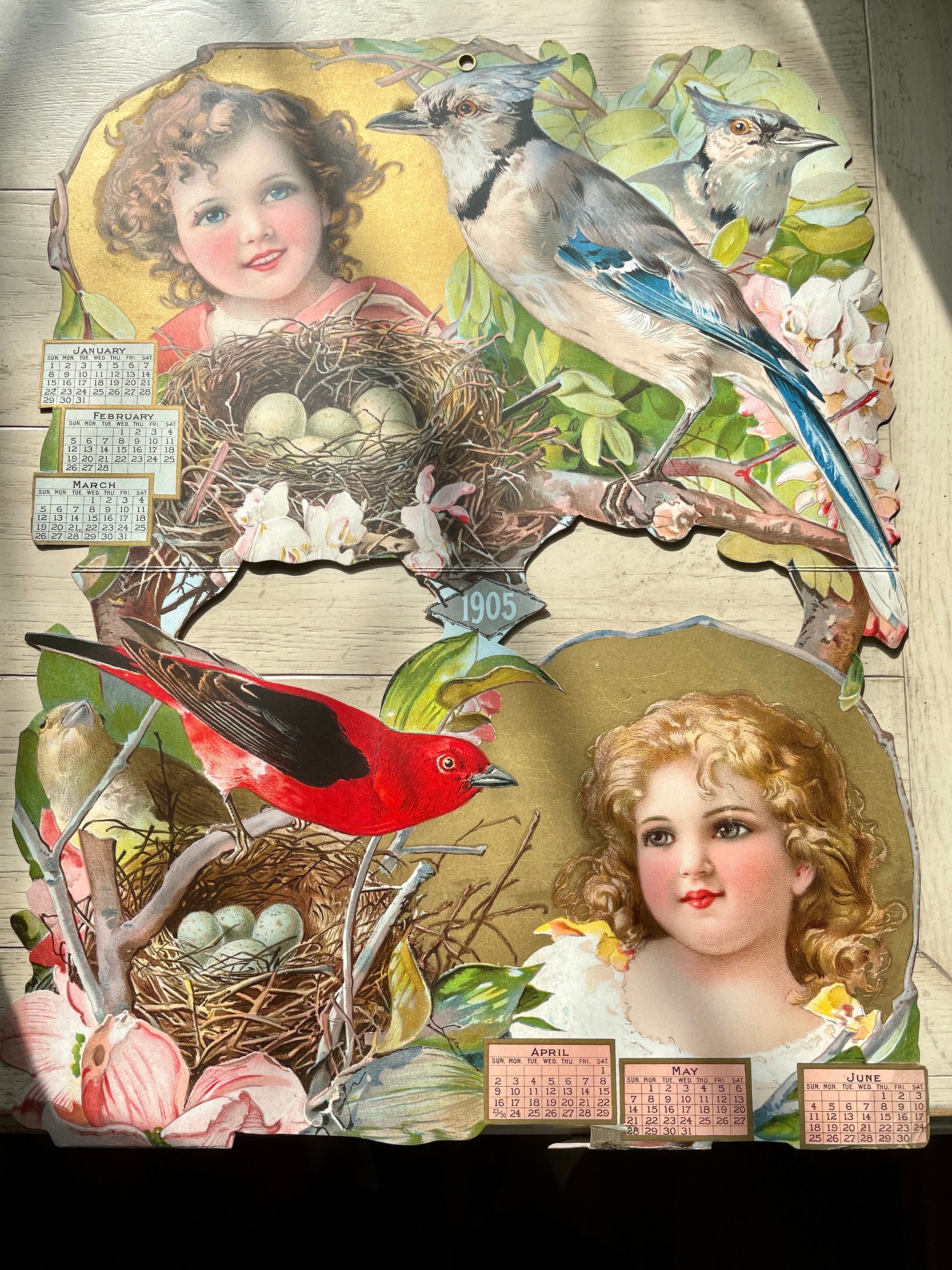 Antique Victorian Edwardian Chromolithograph Children Birds Nests ...