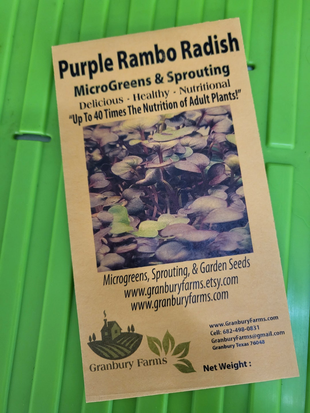 Purple Rambo Radish Seeds Gardening, Sprouting, & Microgreens - Etsy