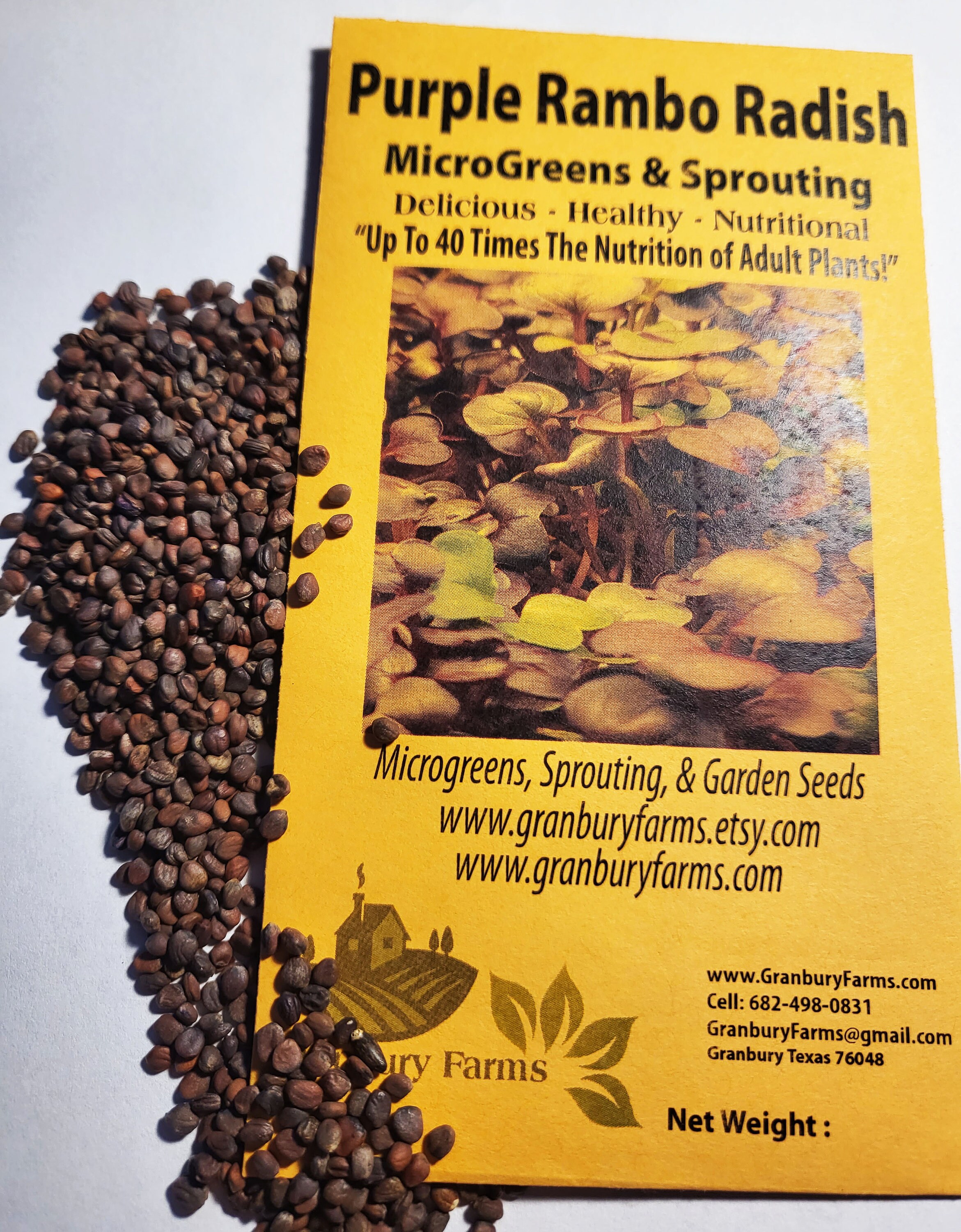 Purple Rambo Radish Seeds Gardening, Sprouting, & Microgreens - Etsy