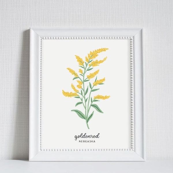Goldenrod Flowers - Etsy