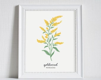 Nebraska Goldenrod Ink Illustration / Goldenrod Print Drawing ...