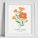 California Poppy State Flower Art Print - Etsy