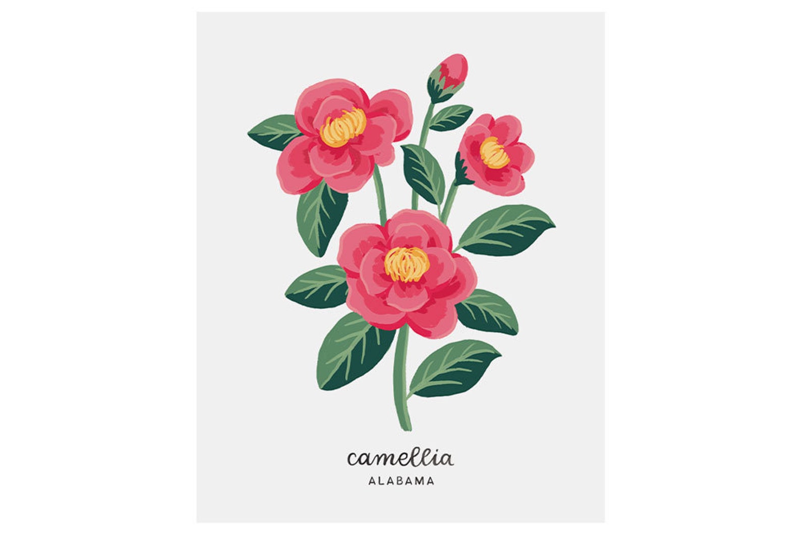 Alabama Camellia State Flower Art Print - Etsy