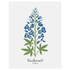 Texas Bluebonnet - State Flower Art Print - Etsy
