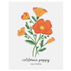 California Poppy - State Flower Art Print - Etsy