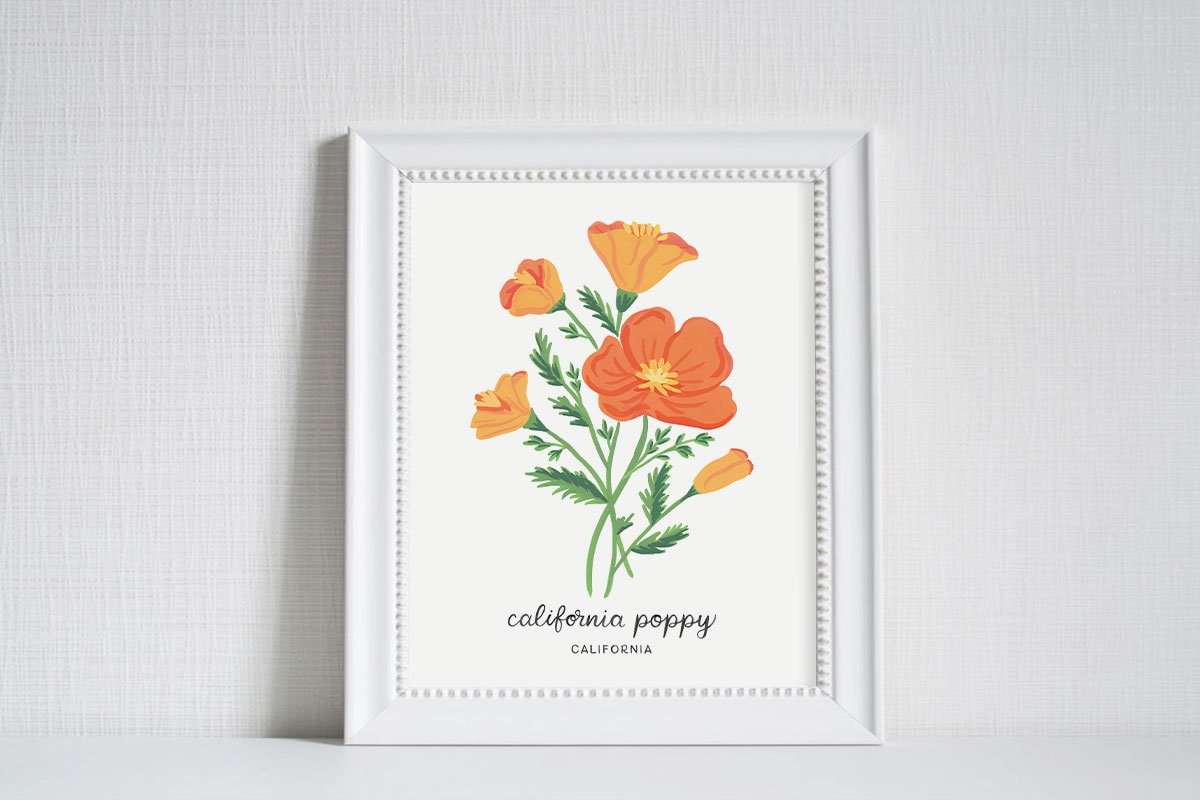 California Poppy State Flower Art Print - Etsy