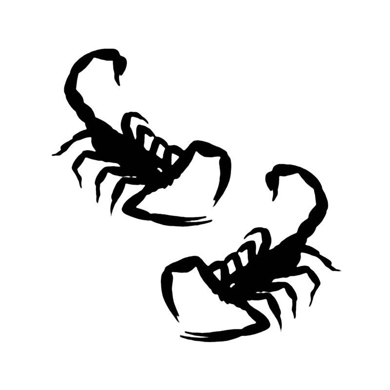 Scorpion Car Decal - Etsy