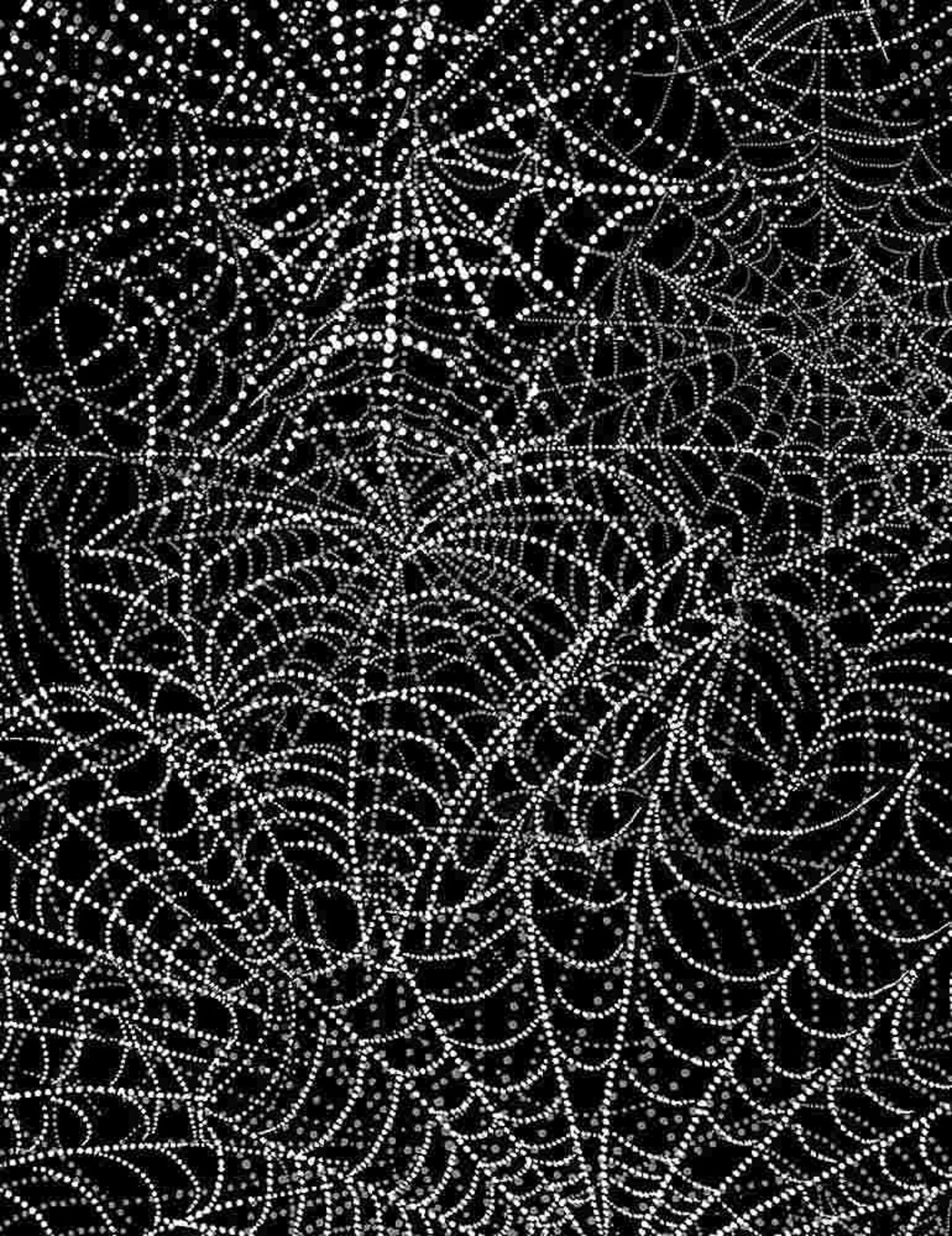 Timeless Treasures Wicked C1449 wicked Spiderweb Halloween Spider Web ...