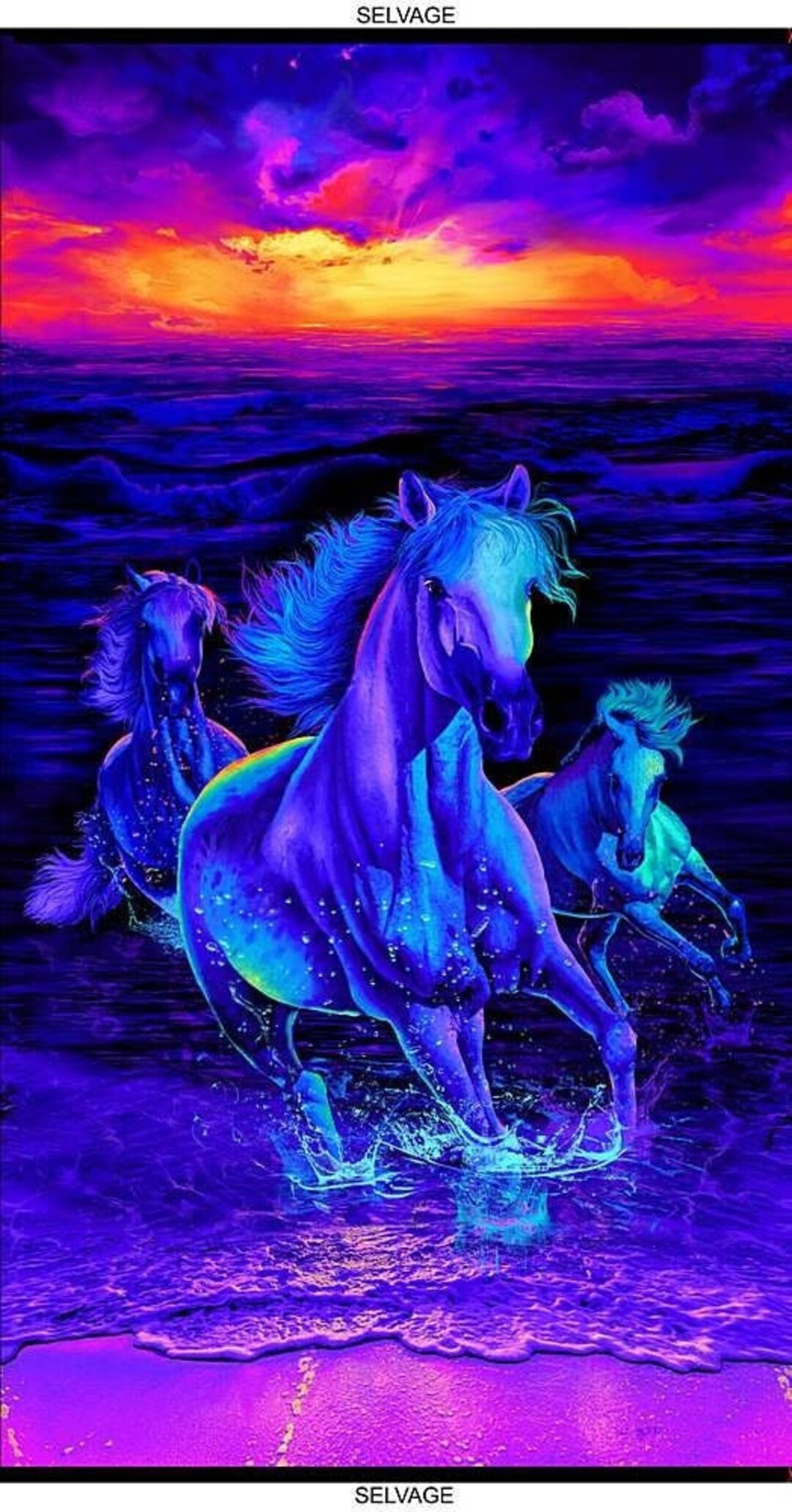 Timeless Treasures Midnight Run CD1428 Midnight Run - Etsy