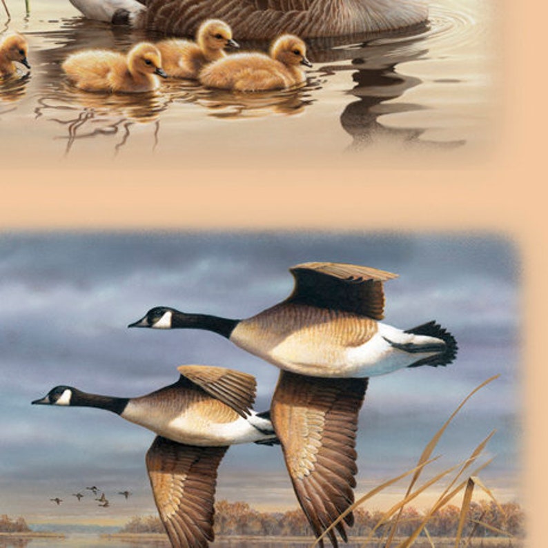 Quilting Treasures Baby Geese 26713-W Hautman Brothers | Etsy